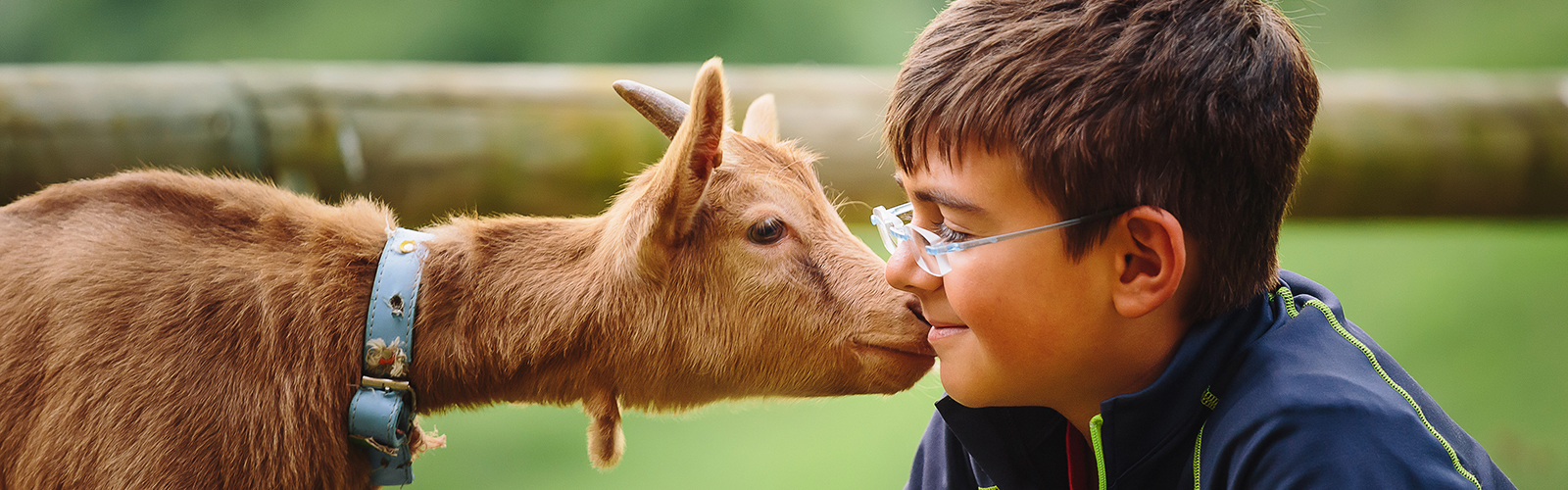 AFSC’s Grassroots Fund supports 4-H at the local level - Agriculture ...