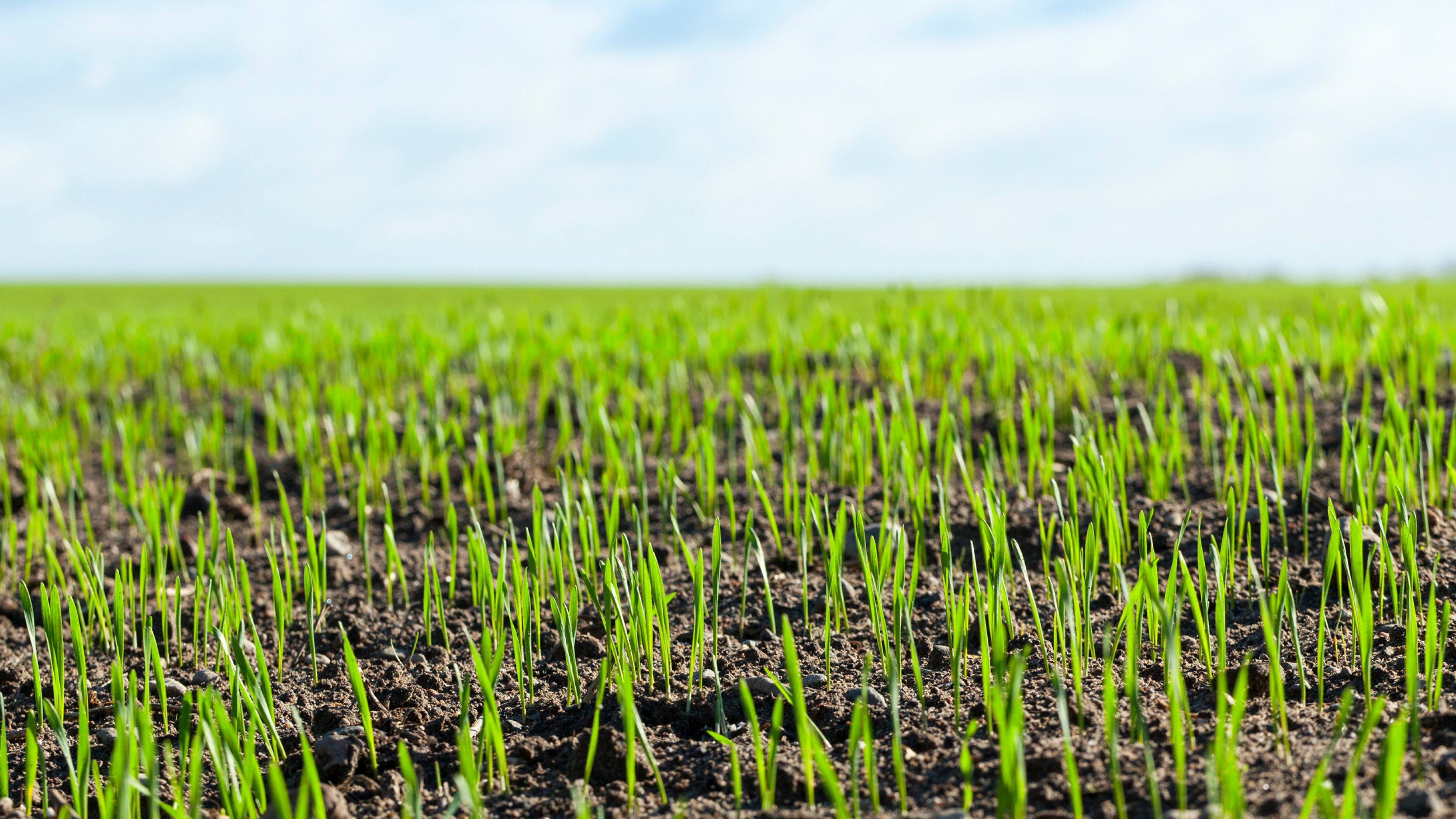 Reduced Premiums Highlight The 2019 Annual Crop Insurance Program