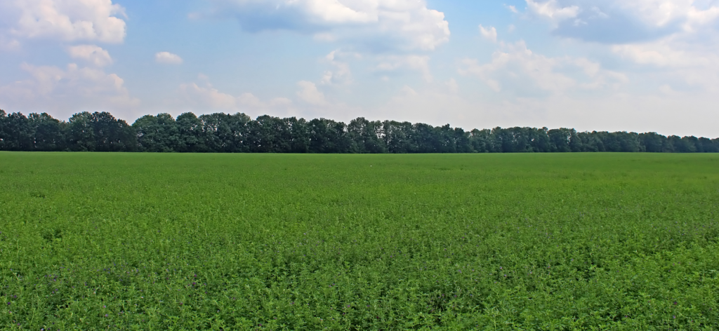 AFSC extending recommended seeding dates for 2020 crop year ...