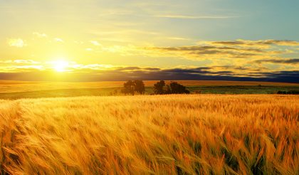 AFSC Purpose and Values - Agriculture Financial Services Corporation