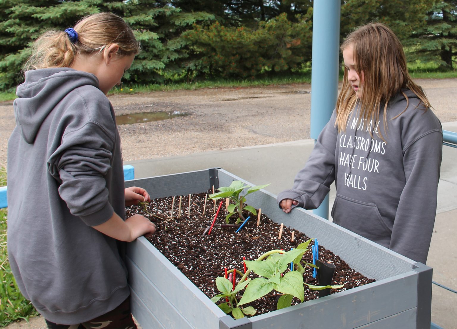 Beyond the classroom: New Humble Community School offers ag education ...