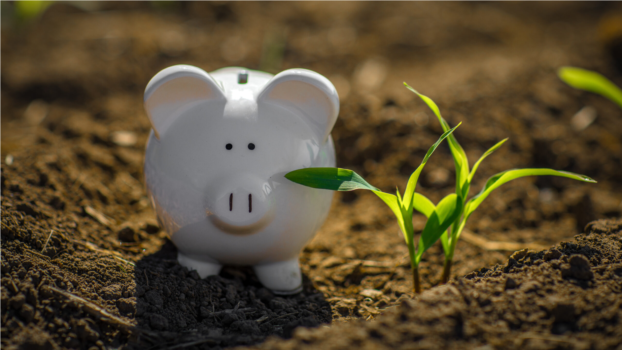 Sign up for direct deposit in AFSC Connect for a chance to win ...