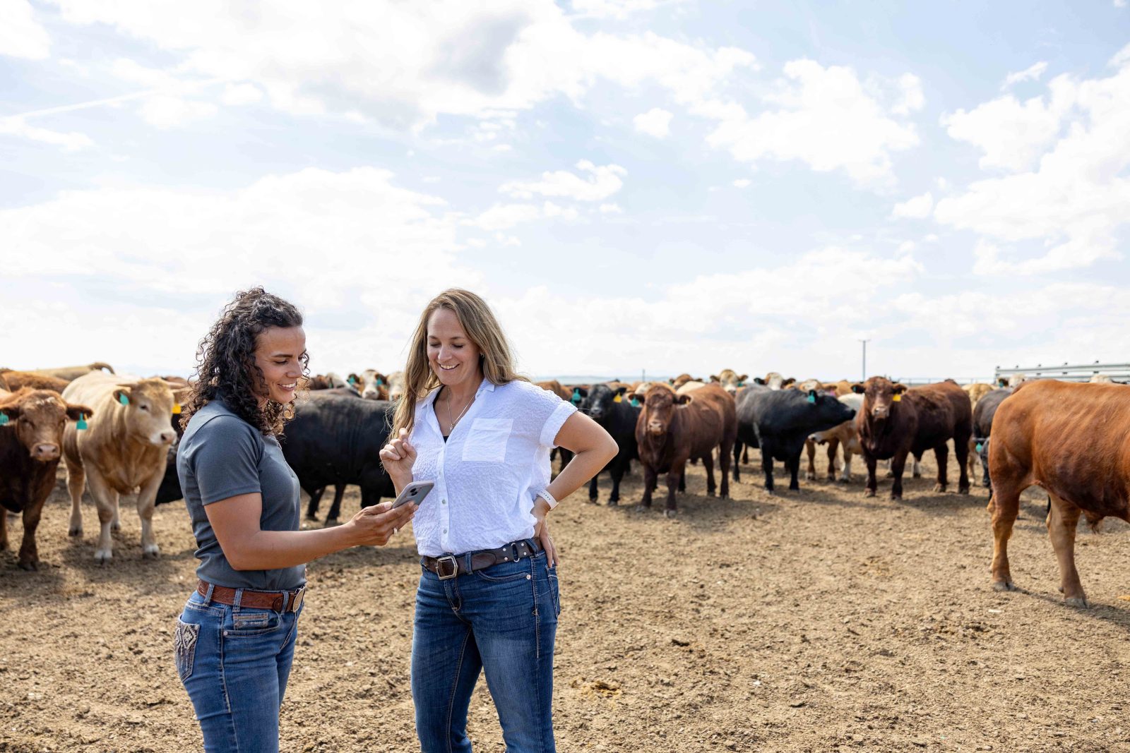 The 2025 Women in Ag Award winners - Agriculture Financial Services ...